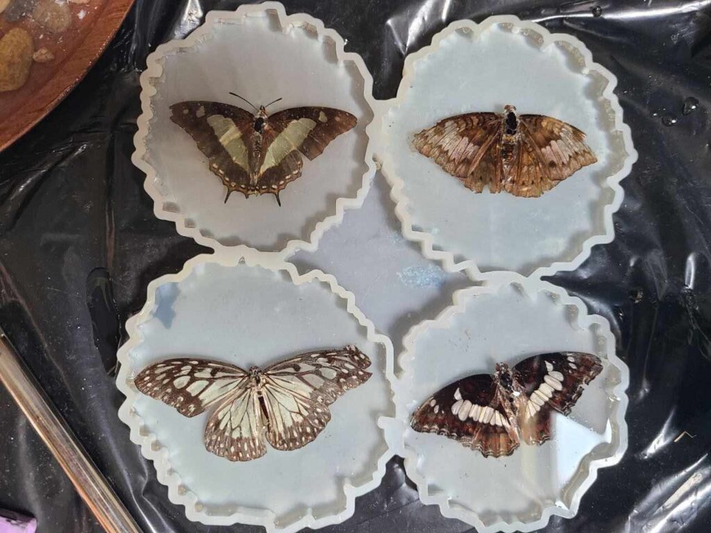 IntoResin Molds Review: Amazing For Epoxy & Jesmonite